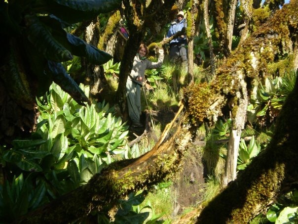 Karisimbi – Snow in the Heart of Africa – Hey Loons