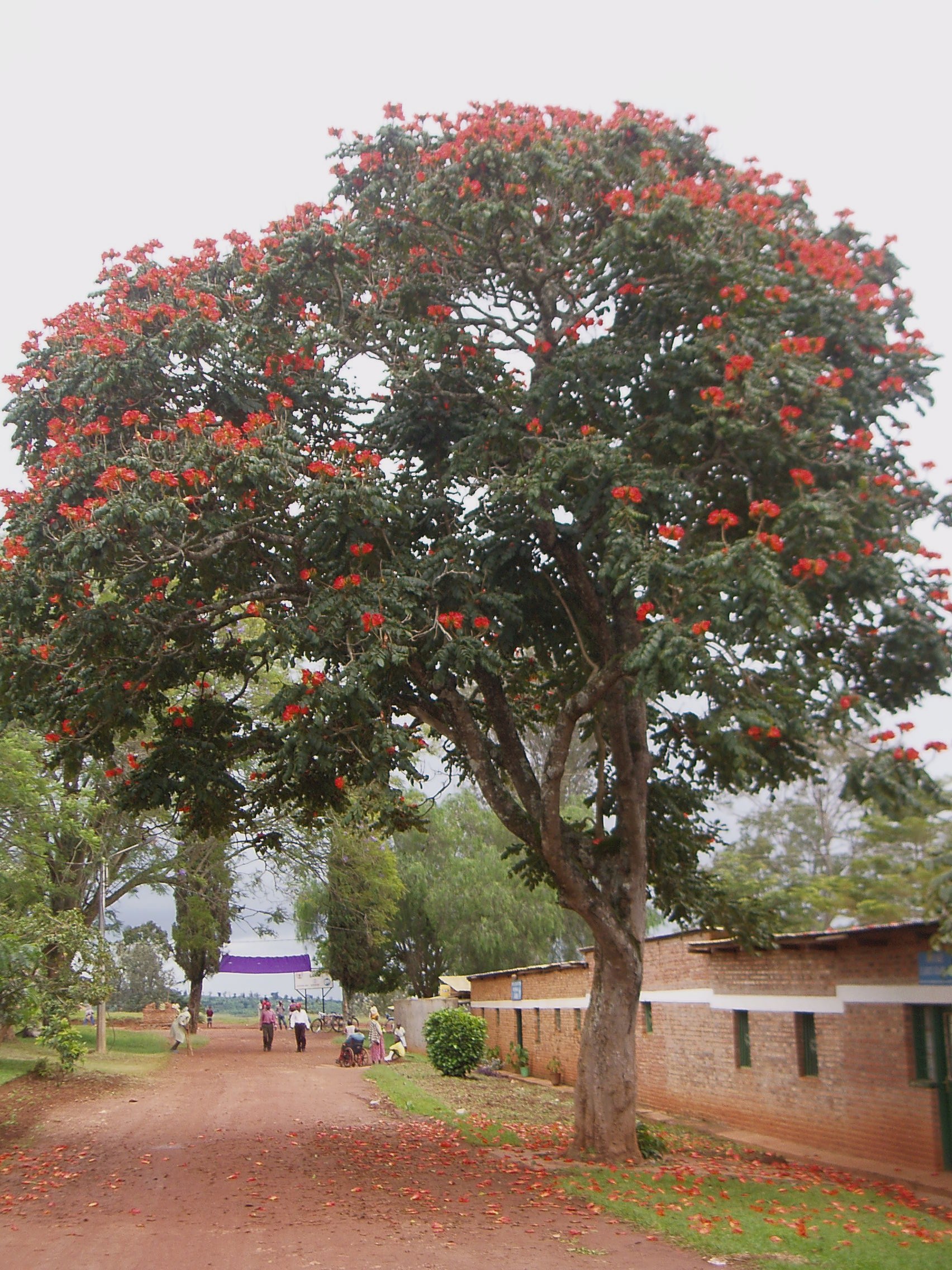 A weekend in the rural beauty of Rwanda – Hey Loons